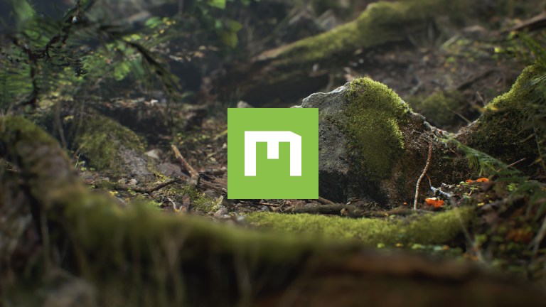 How to add all Megascans assets to your account – THE ART OF VISUAL ...